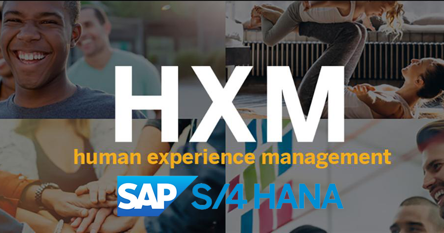 SAP GUI và SAP Fiori - Các giao diện sử dụng hệ thống SAP S/4HANA